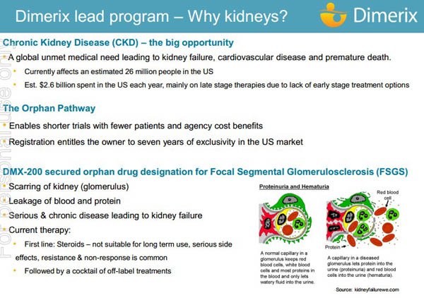 DMX 200 grows in promise for Dimerix