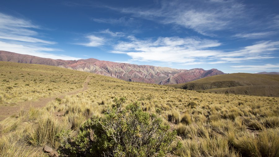 Fort Cady Borate Project DFS progressing well