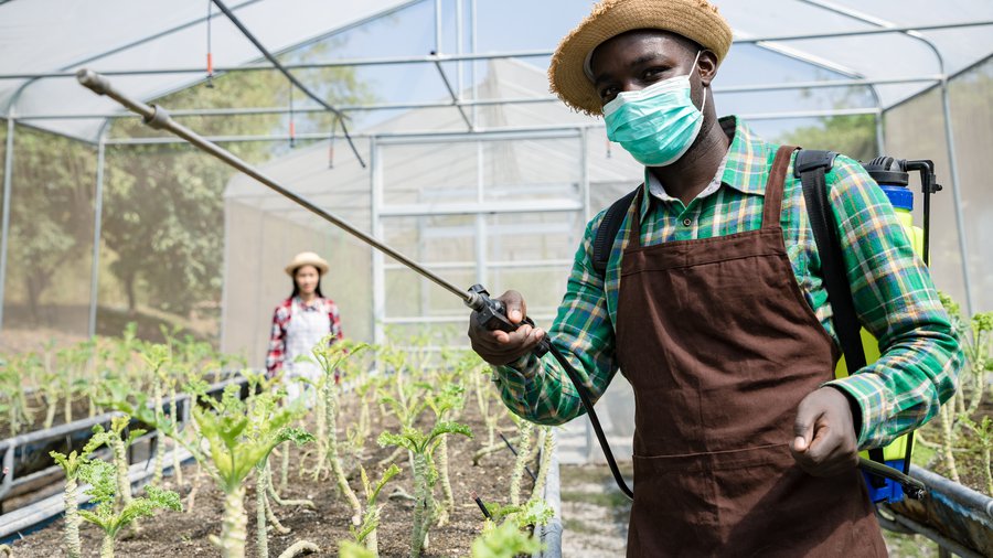 MNB’s Angola Fertiliser development “a Project of National Importance”