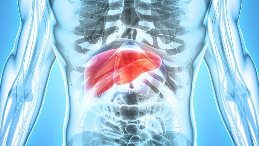 Results in: IMC’s lead drug reduces major factor in liver inflammation
