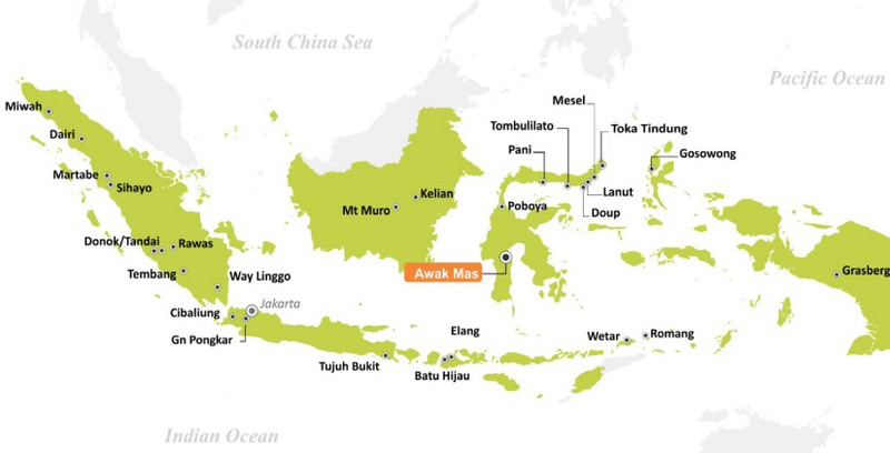 Upbeat DFS points to Long Life Gold Mine