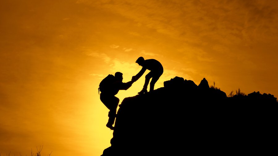 The importance of employee relevance and contribution