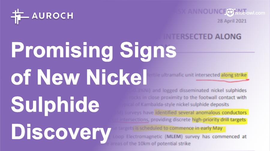Promising Signs for a Potential New Nickel Sulphide Discovery