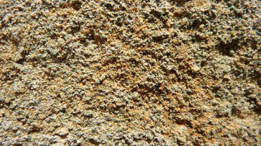 Potash West (ASX:PWN) discovers high-grade phosphate zone